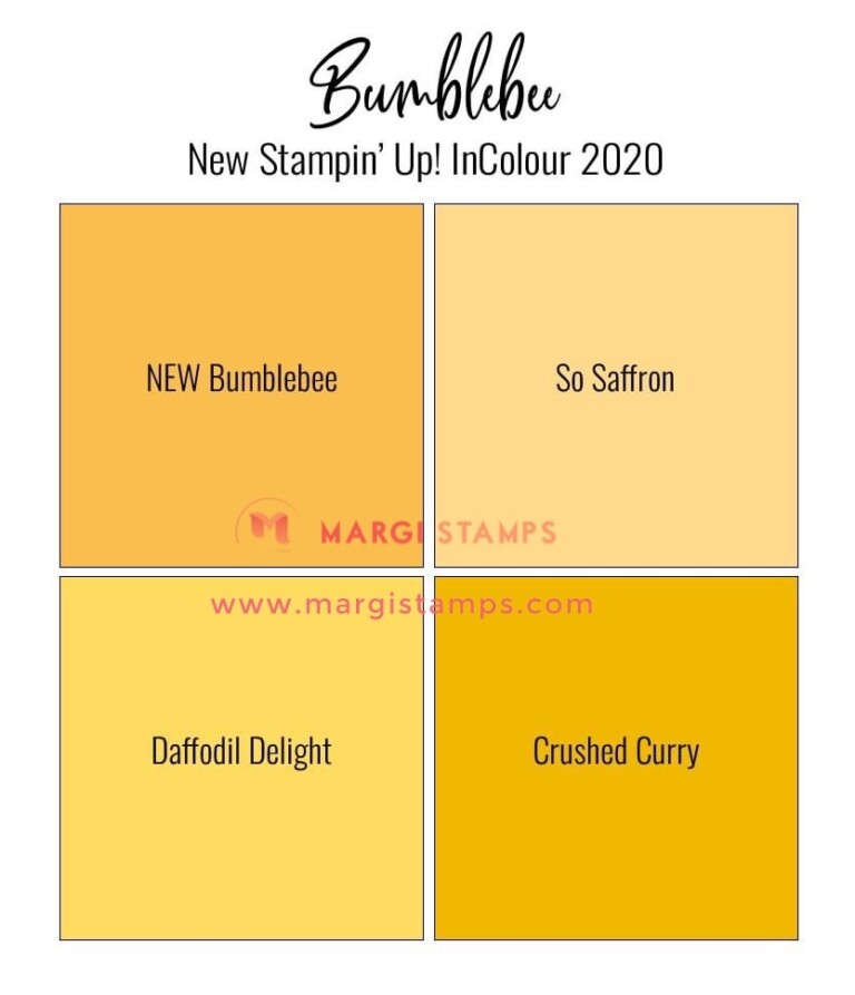 In Colour – Bumble Bee – Margi Stamps